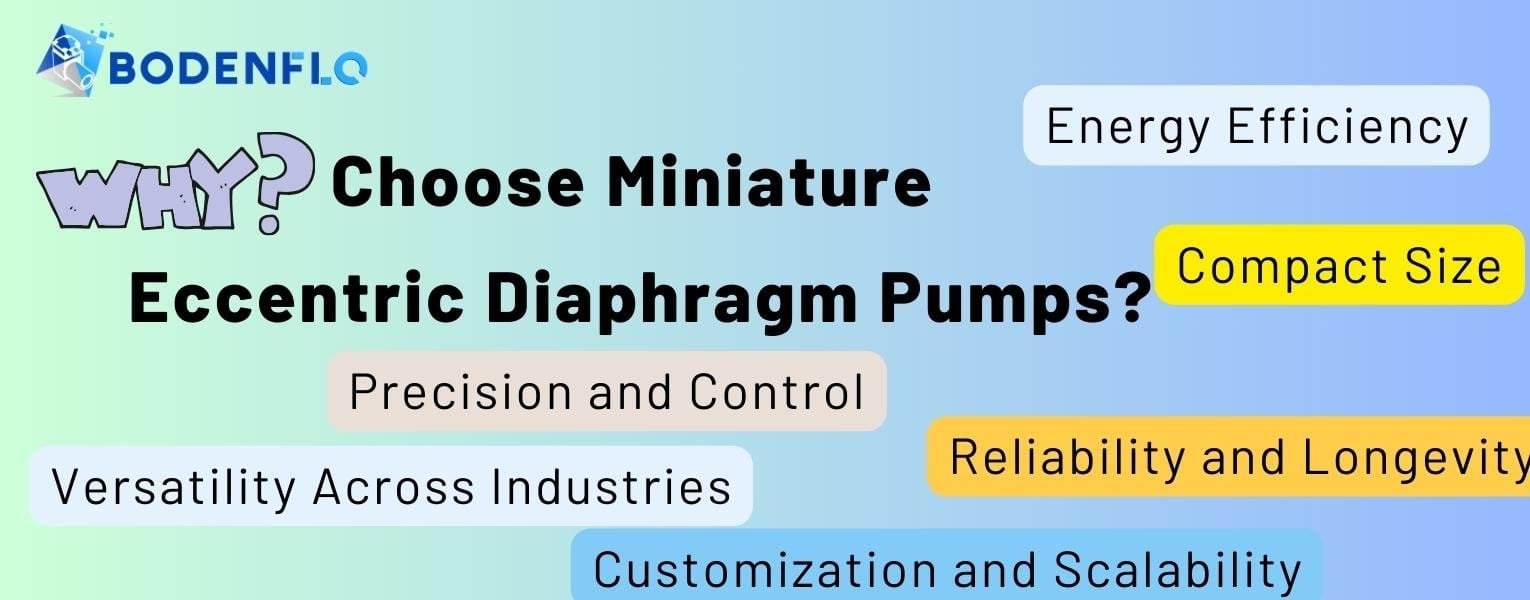 Unlock the Full Potential of Eccentric Diaphragm Pumps with BODENFLO ...